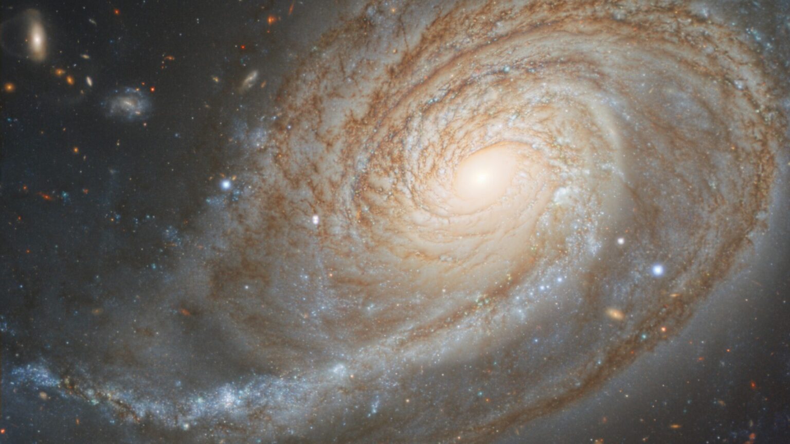 Horóscopo: saiba o que esperar para o seu signo nesta quinta-feira, dia ...